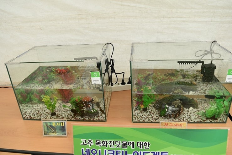 충청북도 농업기술원 반딧불이 체험행사 보셨나요 네이버 블로그