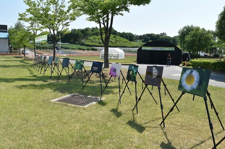 충청북도 농업기술원 반딧불이 체험행사 보셨나요 네이버 블로그