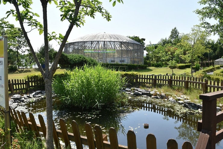 충청북도 농업기술원 반딧불이 체험행사 보셨나요 네이버 블로그