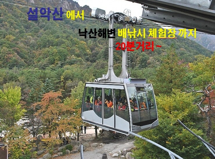 외국인 가족여행 국내 가을 여행지 추천 1박2일 강원도 여행코스 9월 속초 여행코스 설악산 근처 10월 양양 가볼만한곳 낙산사