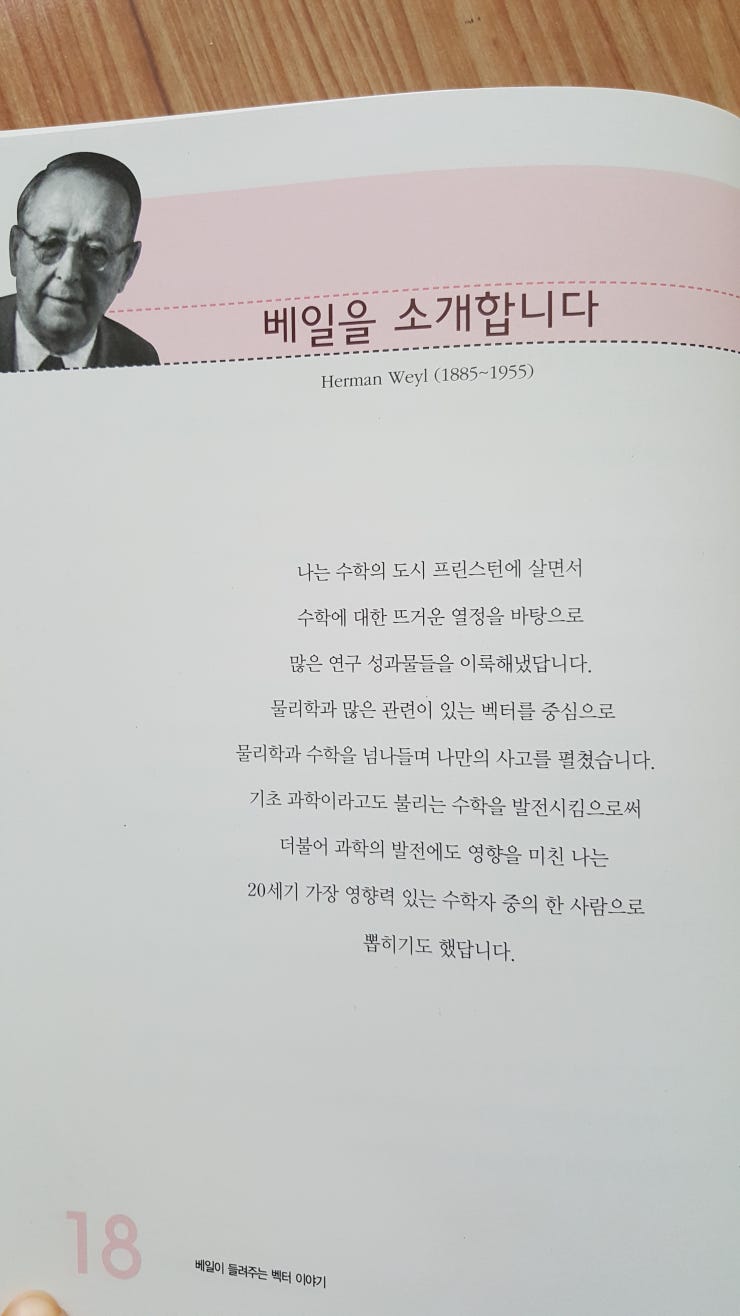 수학자가 들려주는 수학이야기 베일이 들려주는 벡터이야기 네이버 블로그