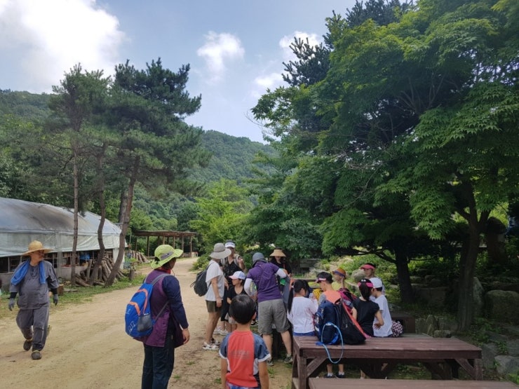 7월 18일 서정초등학교 여름 캠프 우리들자연학교 네이버 블로그