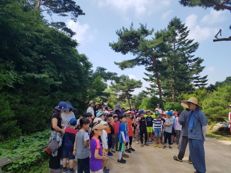 7월 18일 서정초등학교 여름 캠프 우리들자연학교 네이버 블로그