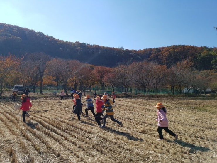10월 31일 프렌즈유치원 자연생태체험 우리들자연학교 네이버 블로그