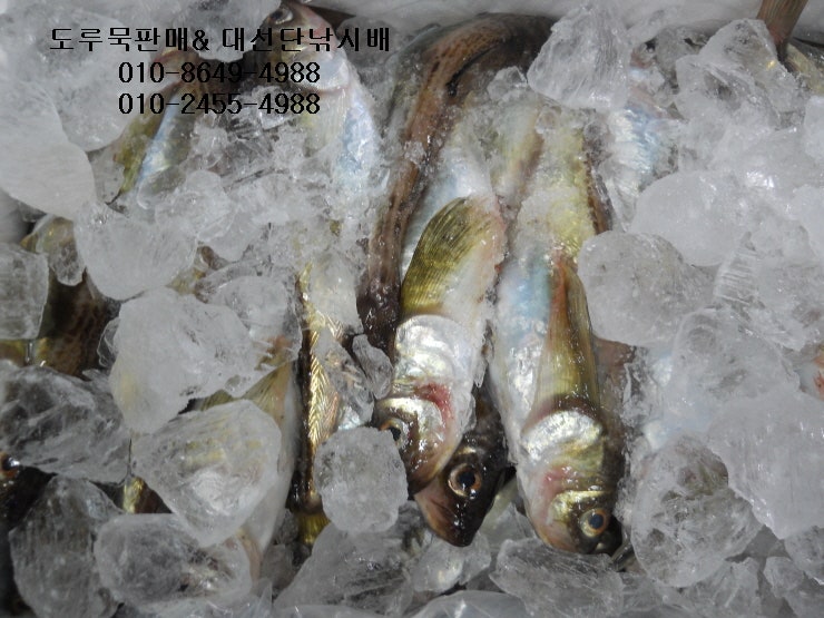 국내생선 반건조생선 판매 반건조가자미 파는곳 덜말린생선 가격 네이버 블로그
