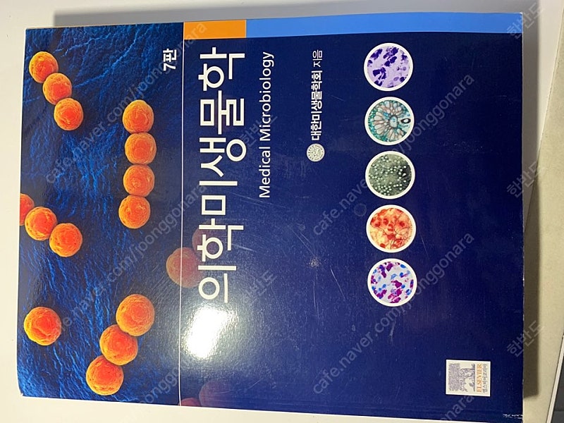 각종 의학 도서 팝니다 해리슨 병리학 감염학 학습교육 중고나라
