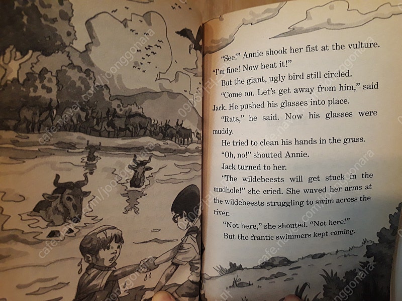 매직트리하우스magic Tree House 책28권 유아동도서음반 중고나라
