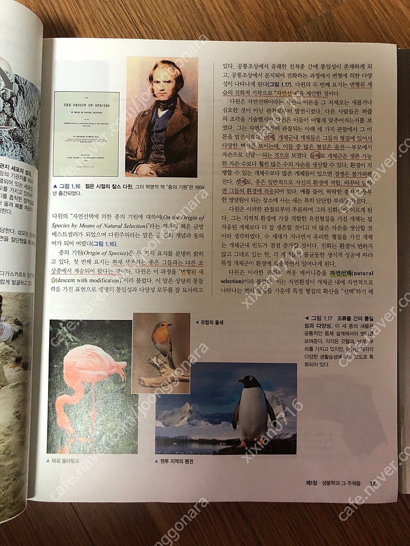캠벨 생명과학 10판 학습교육 중고나라