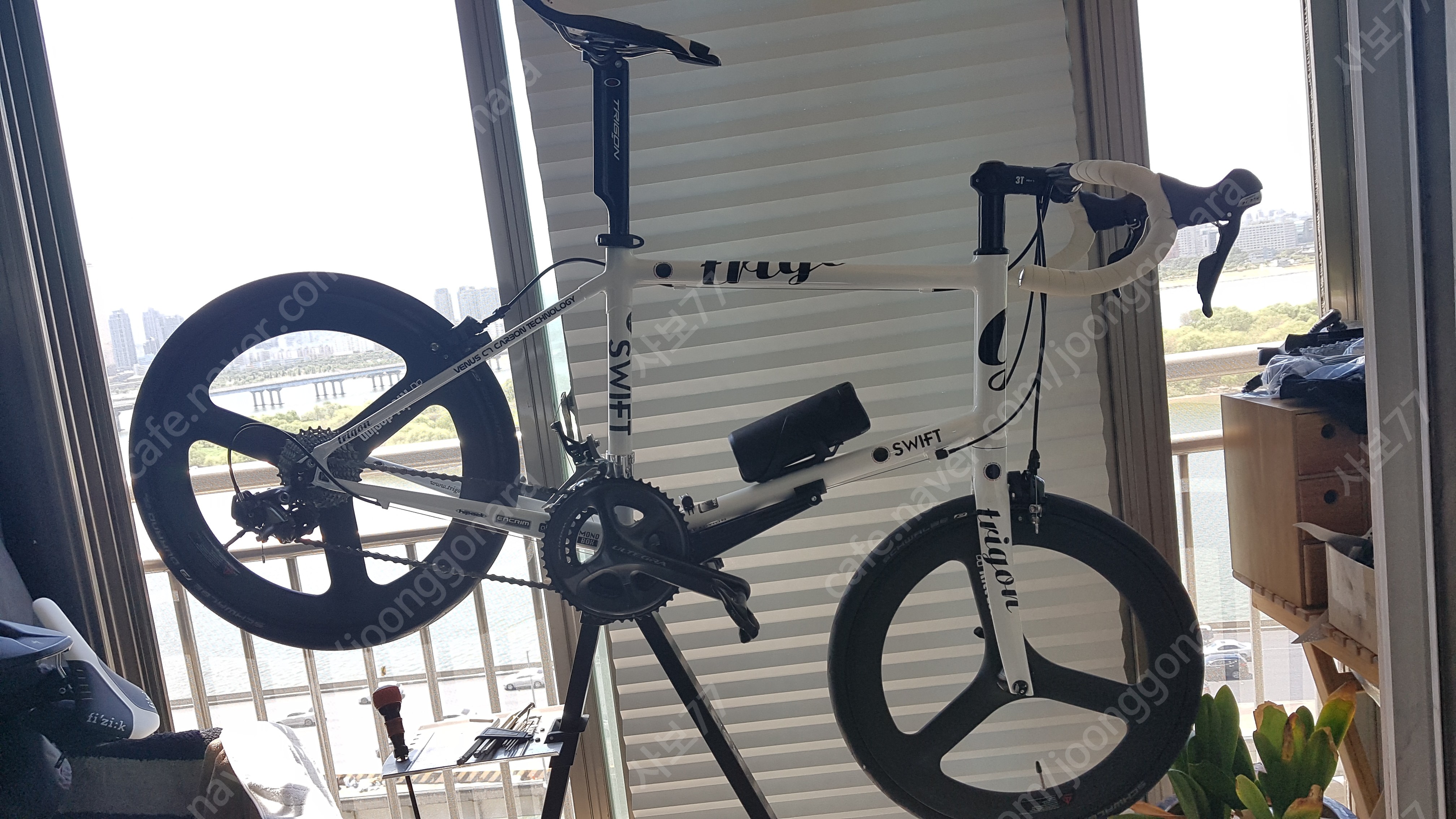 트리곤 스위프트 + Kitt Design 카본 휠 | 하이브리드/픽시/미니벨로 | 중고나라