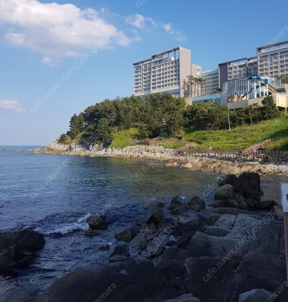 판매 대명리조트 쏠비치삼척ㆍ양양리조트 7월18일 여행숙박이용권 중고나라