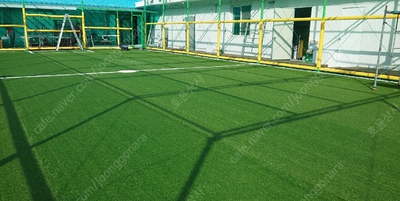 [판매] 창고형매장 도매가 중고인조잔디 테라스용*매장입... | 산업자재 | 중고나라