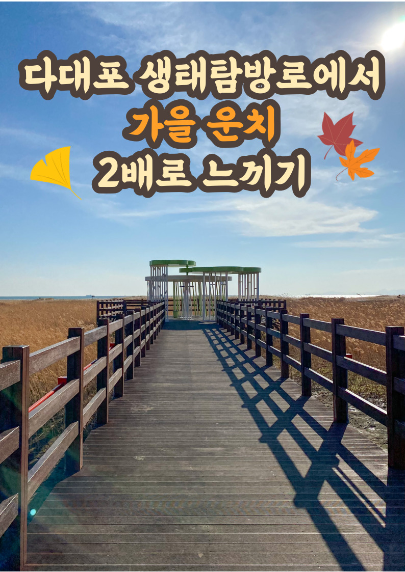부산 다대포 생태탐방로에서 가을 운치 2배로 느끼기