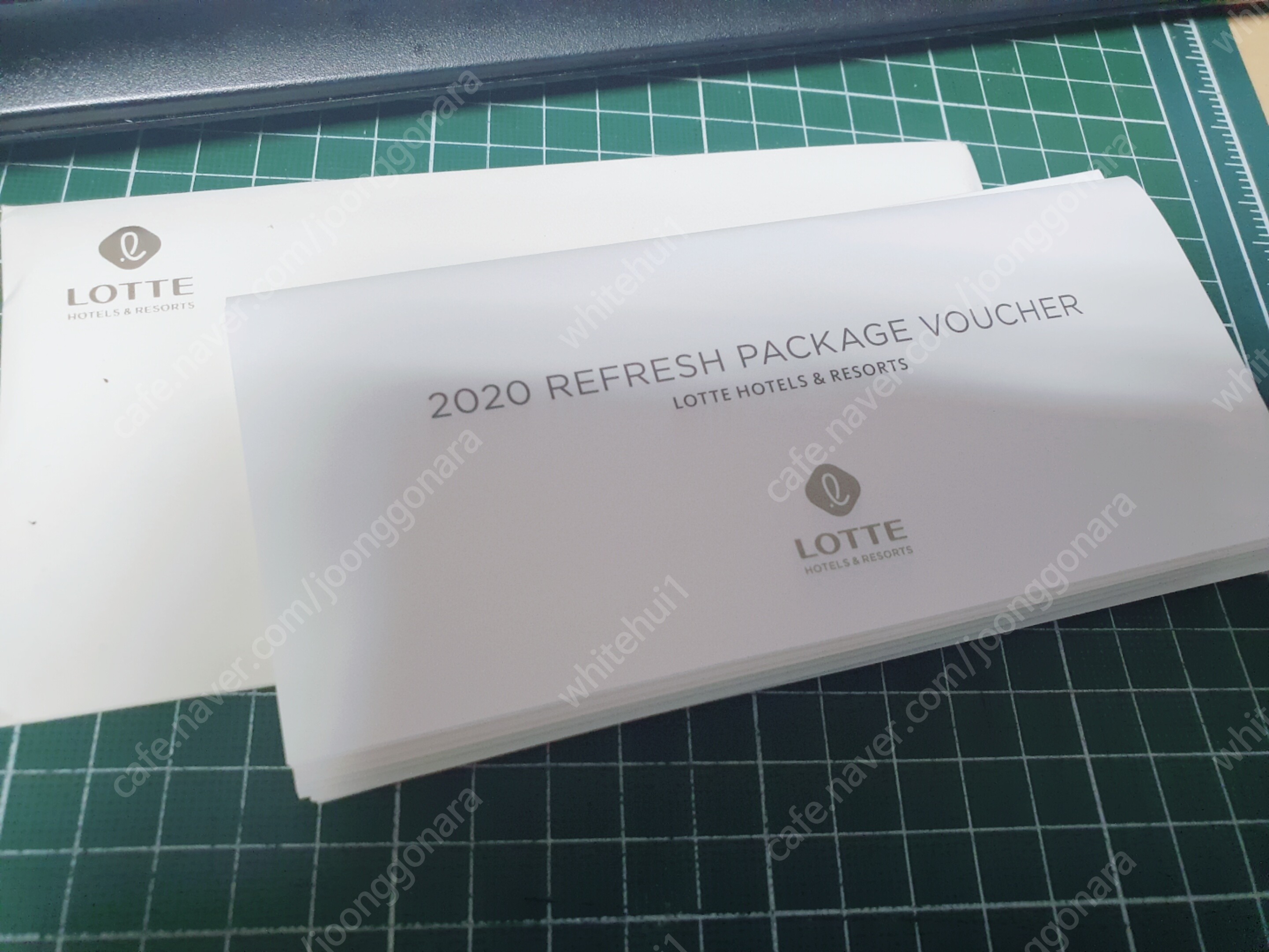 롯데 라세느 잠실동 월드점 3인식사권282만원 기타 티켓쿠폰이용권 중고나라