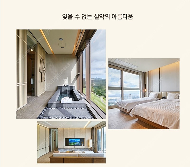 소노펠리체 속초 설악 델피노 골드실버 12월17일 외 특가 양도 여행숙박이용권 중고나라