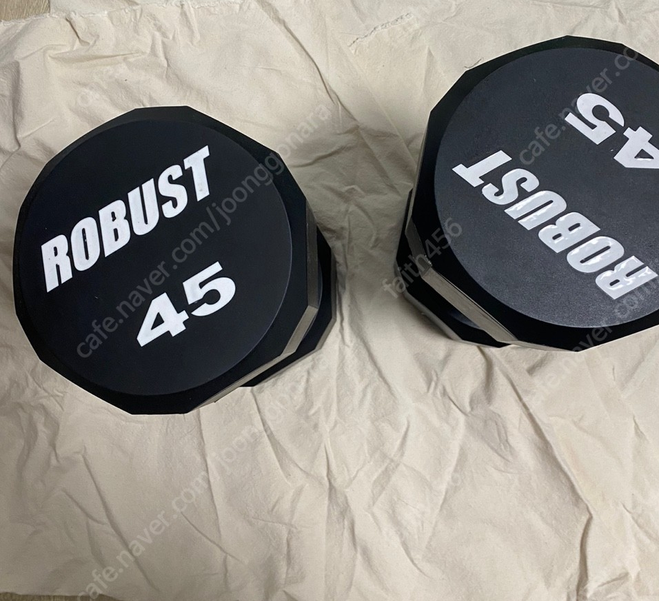 덤벨 45kg 로버스트 45kg 아령 우레탄코팅 덤벨 ... | 헬스용품 | 중고나라