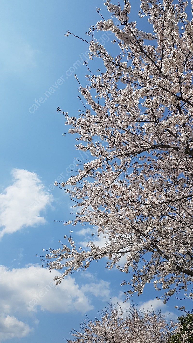 카니발 4세대 ka4 브레이크 삽니다 | 휠/타이어 | 중고나라