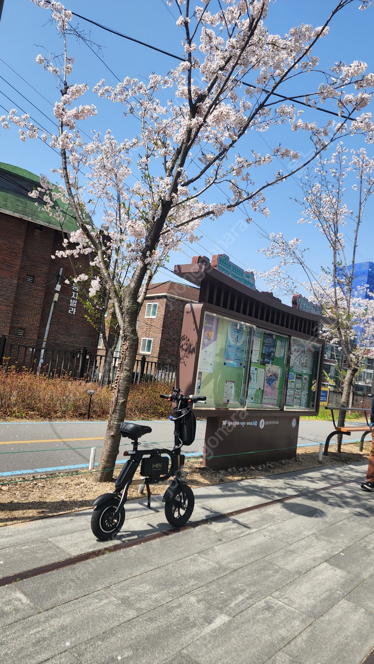 아이온 전동 스쿠터 팝니다.(풀셋트) | 중고나라 카페에서 운영하는 공식 사이트