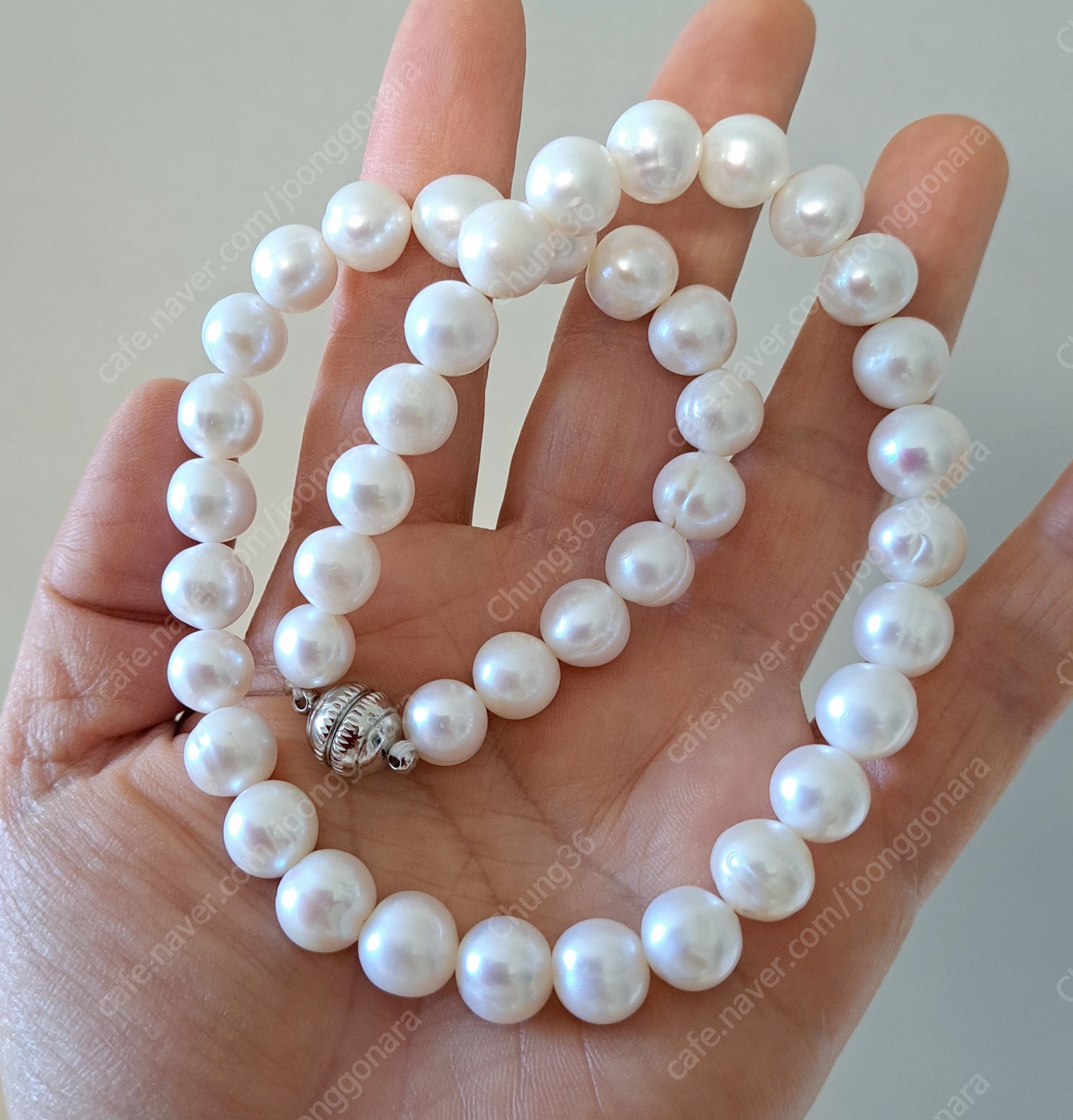 10mm 화이트 담수진주 목걸이 42cm 새상품 | 반지/귀걸이 | 중고나라