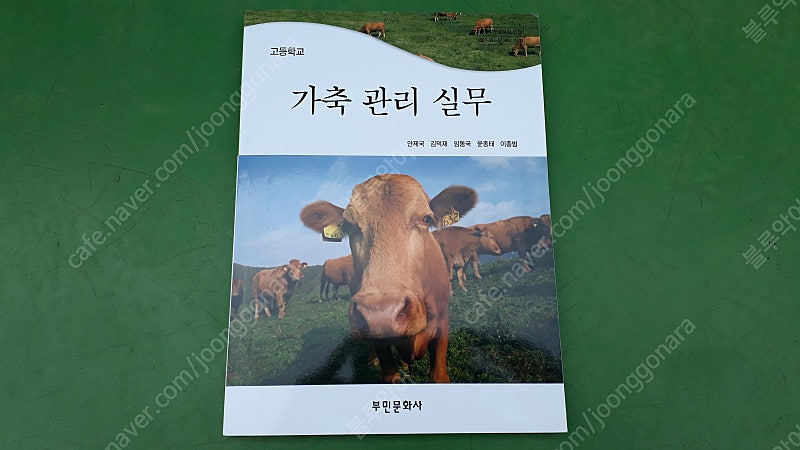 축산기능사 실기 가축관리실무 1만원 학습교육 중고나라