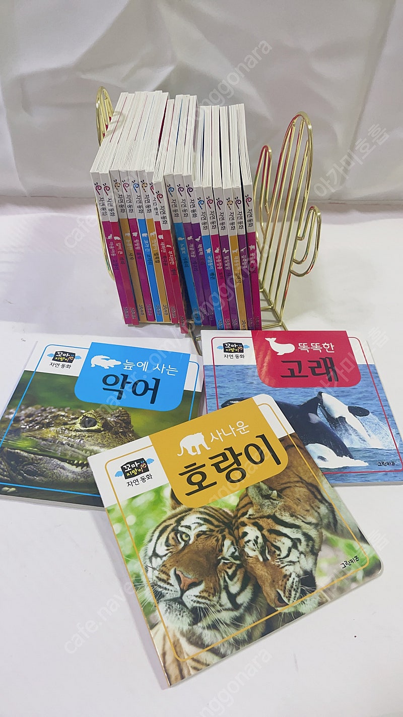 유아도서 모음 유아전집 유아과학동화 인성동화창작 유아동도서음반 중고나라