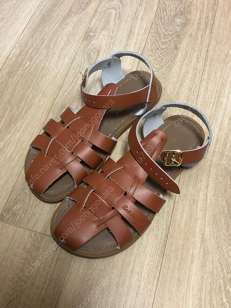 솔트워터 샤크 5w7 | 기타잡화/관련용품 | 중고나라