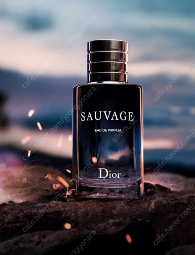 디올소바쥬 오드퍼퓸 정품60ml 팝니다 | 향수 | 중고나라