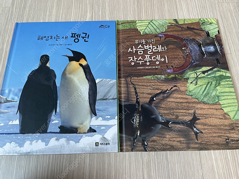 키즈스콜레 야호자연아 자연관찰 택포 21만 유아동도서음반 중고나라