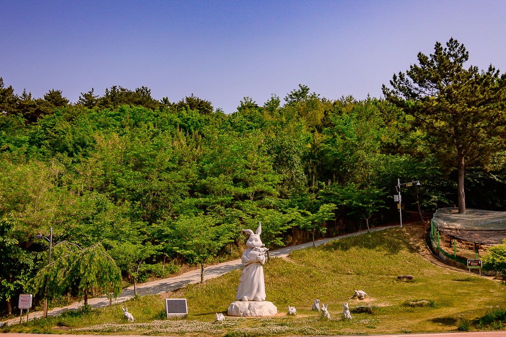 사천 비토섬 국민여가캠핑장 별주부전테마파크 산책 네이버 블로그