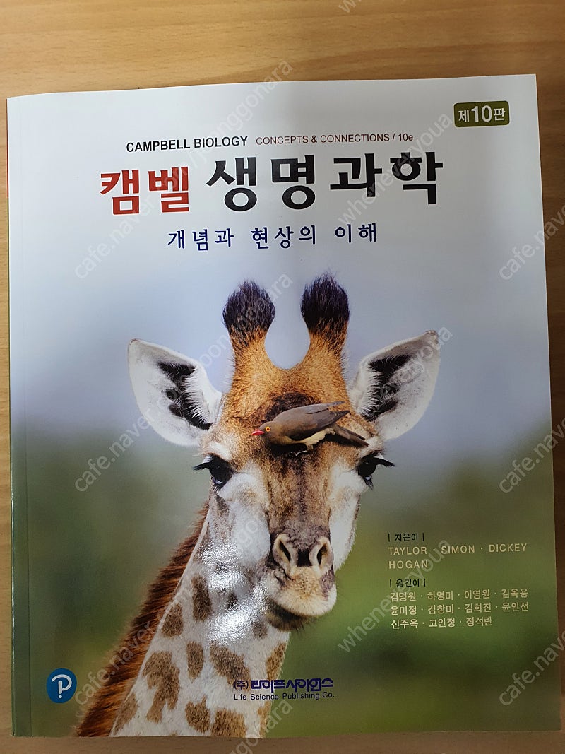 캠벨 생명과학 제10판 판매합니다 학습 교육 중고나라