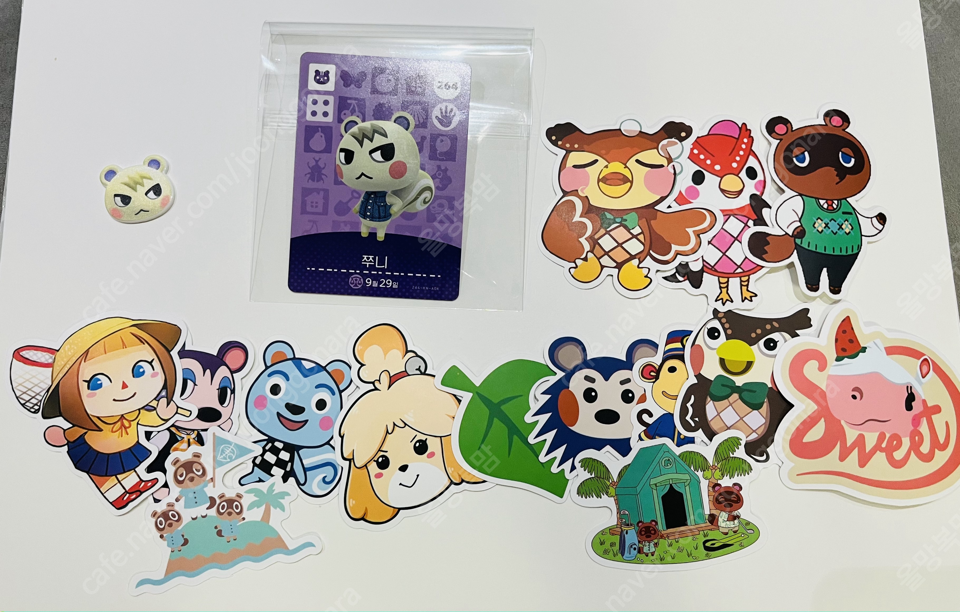 쭈니 아미고 카드 닌텐도 캐릭터 | 케이스/거치대/보호필름 | 중고나라