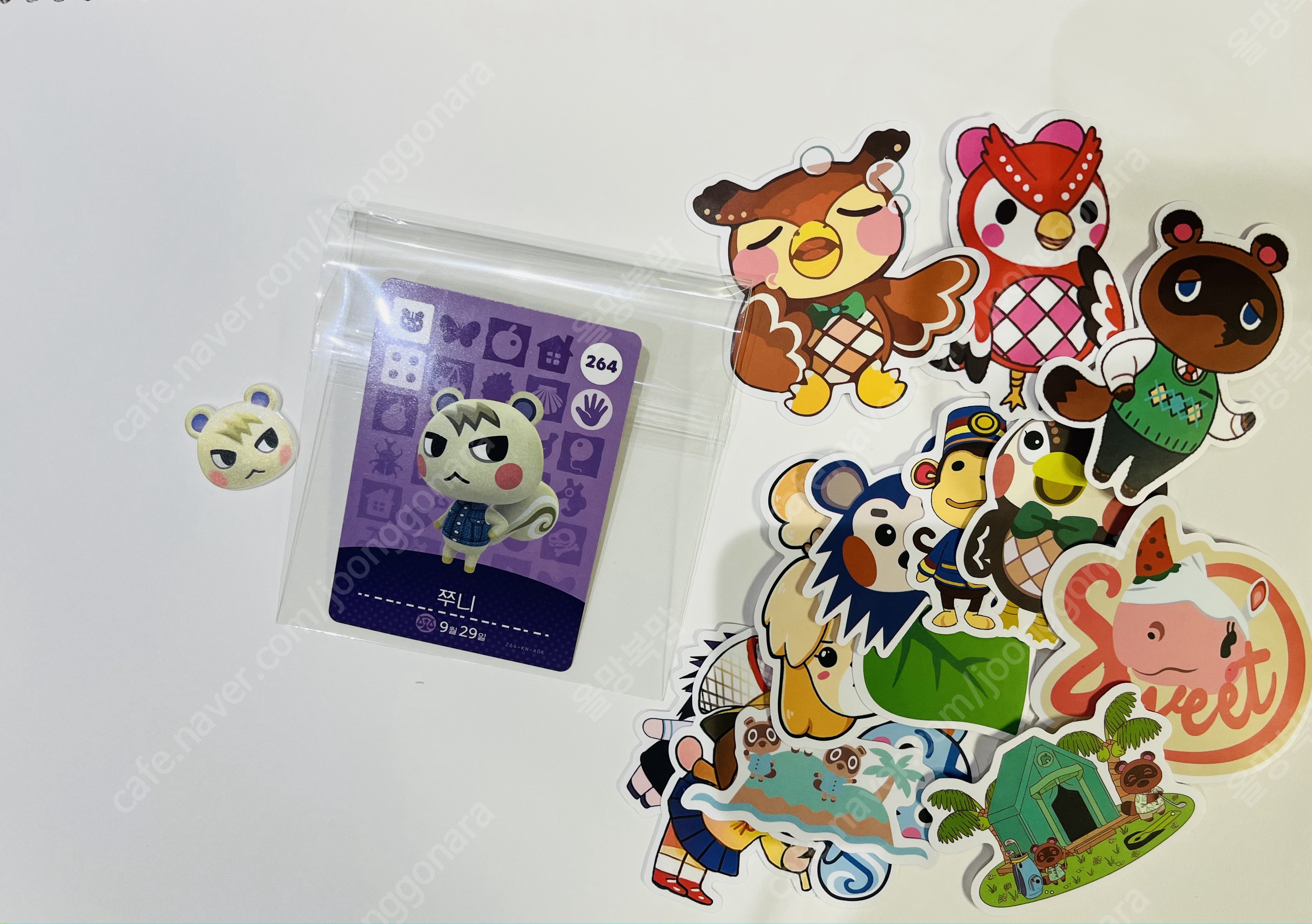 쭈니 아미고 카드 닌텐도 캐릭터 | 케이스/거치대/보호필름 | 중고나라