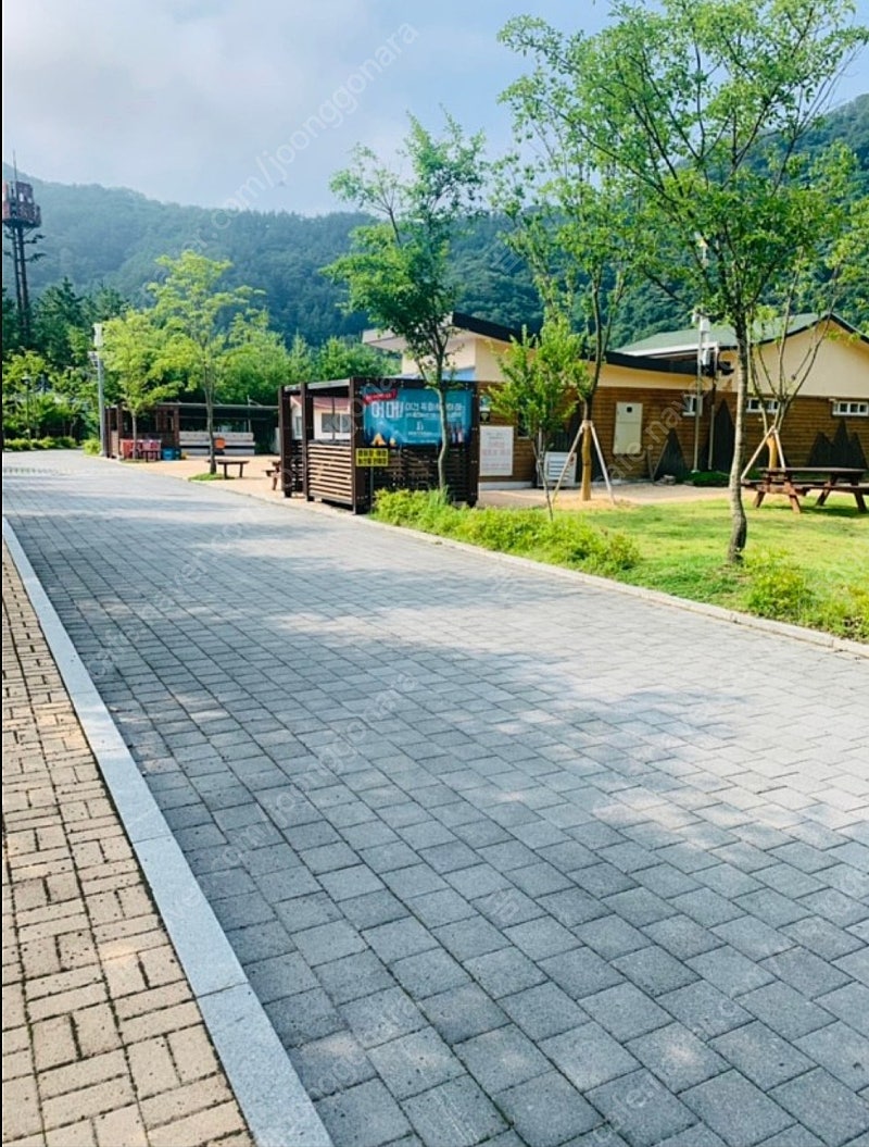 홍천강 오토 캠핑장 22일 토요일 1박 양도 기타 캠핑용품 중고나라