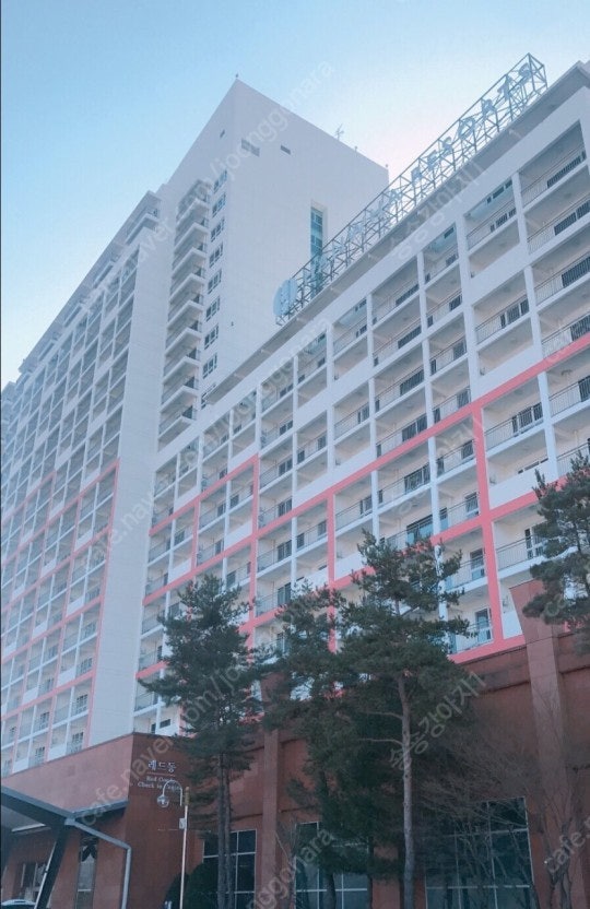 평창 한화리조트휘닉스파크 38평 1월28일금 1 기타 티켓쿠폰이용권 중고나라