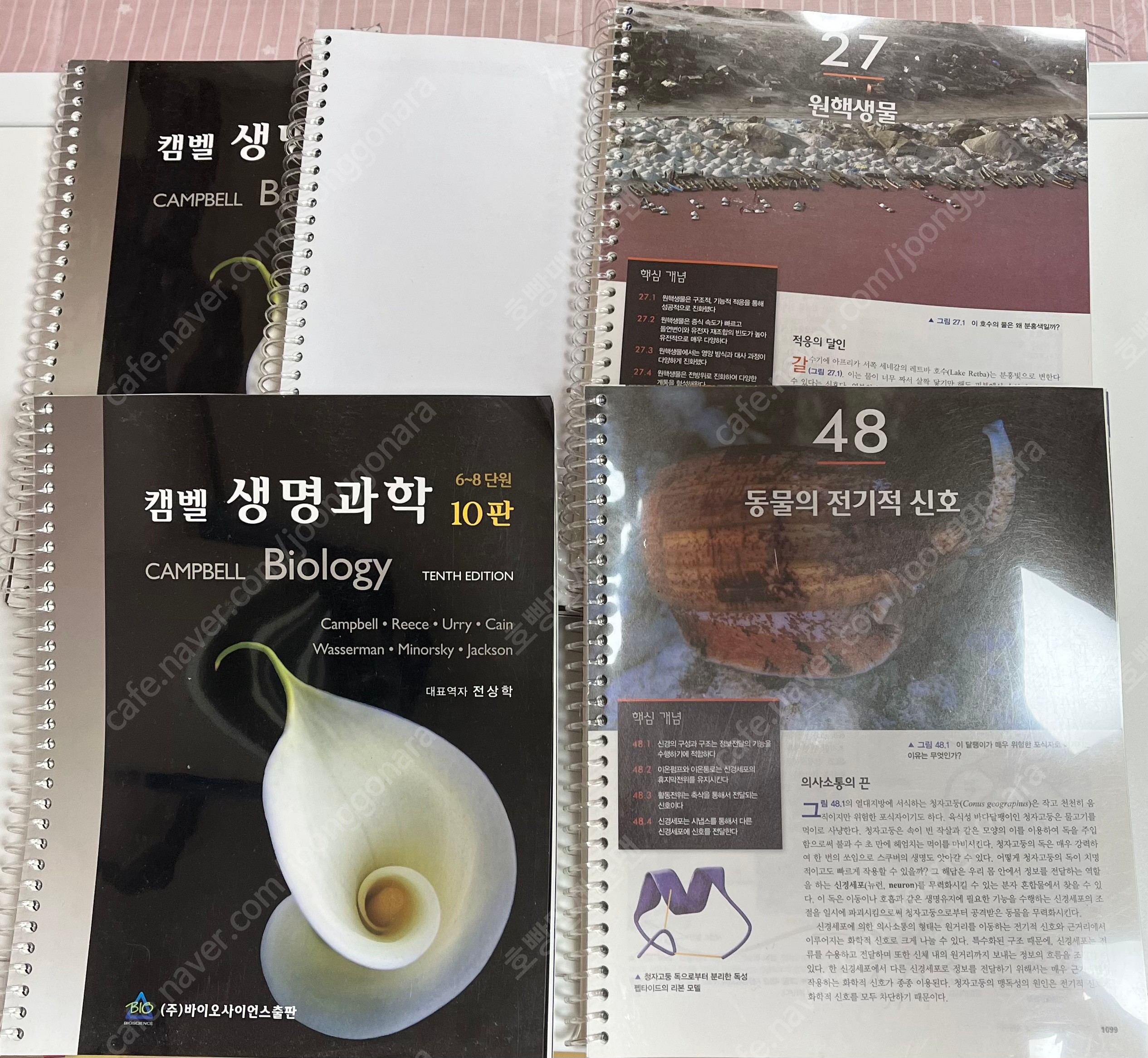 캠벨 생명과학 10판 학습 교육 중고나라