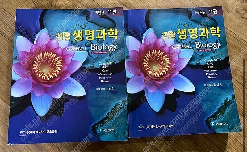 캠벨 생명과학 11판 학습 교육 중고나라