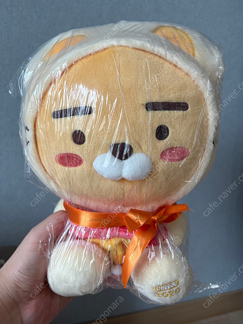 겠소라이언 중고거래 | 중고나라