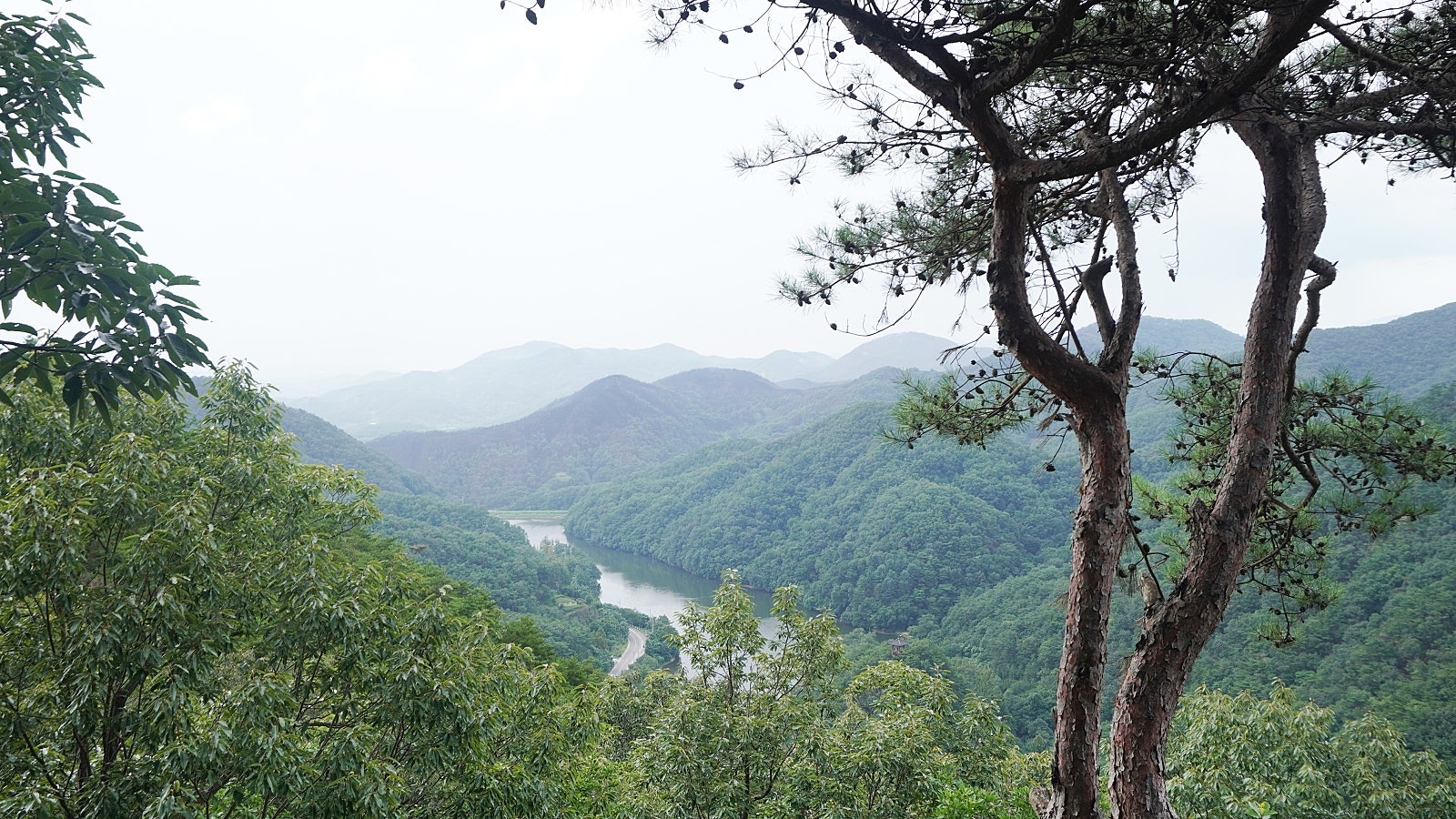 대전 팔경 장태산 자연휴양림 출렁다리 전망대 코스 추천 네이버 블로그