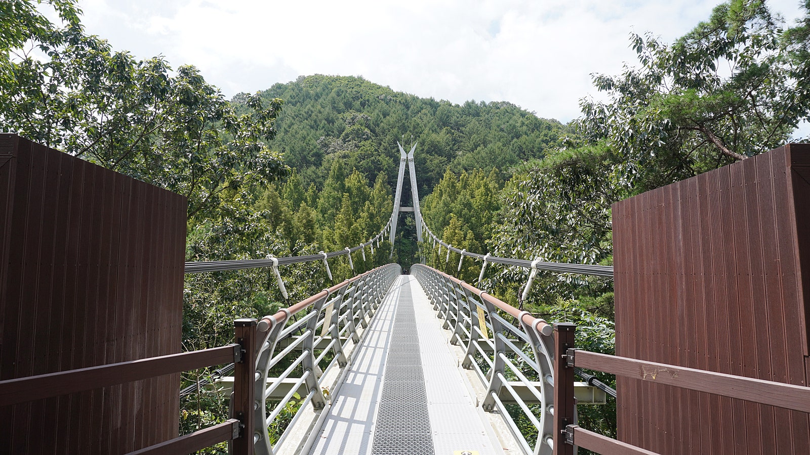 대전 팔경 장태산 자연휴양림 출렁다리 전망대 코스 추천 네이버 블로그