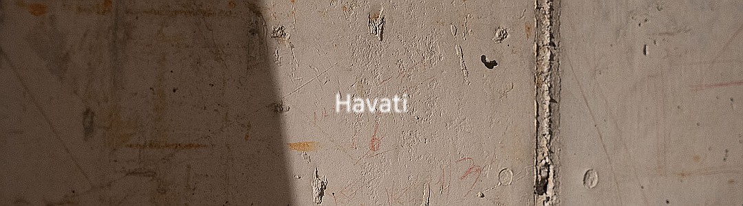 스태프 데일리룩,하바티 (Havati) / 패션 커뮤니티 : 네이버 카페