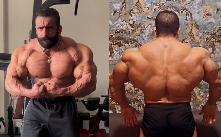 보디빌더 "페르시아의 늑대" 하디 추판 - DogDrip.Net 개드립