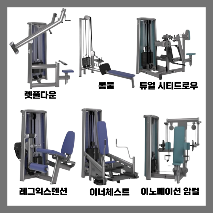 독일 정품 짐80 💜천안 최대규모 600평 헬스장 피플짐💜천안pt천안일일권성정동헬스장성정동pt두정동헬스장두정동pt